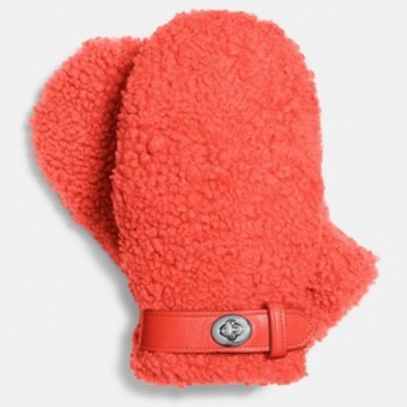 Coach | Accessories | Coach Sheepskin Mittens | Poshmark